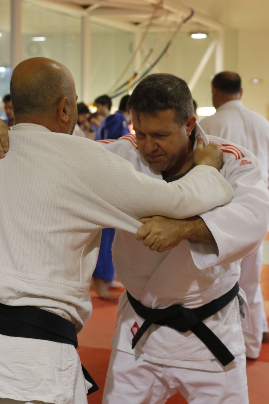 The deep connection between management practice and the judo principles ...