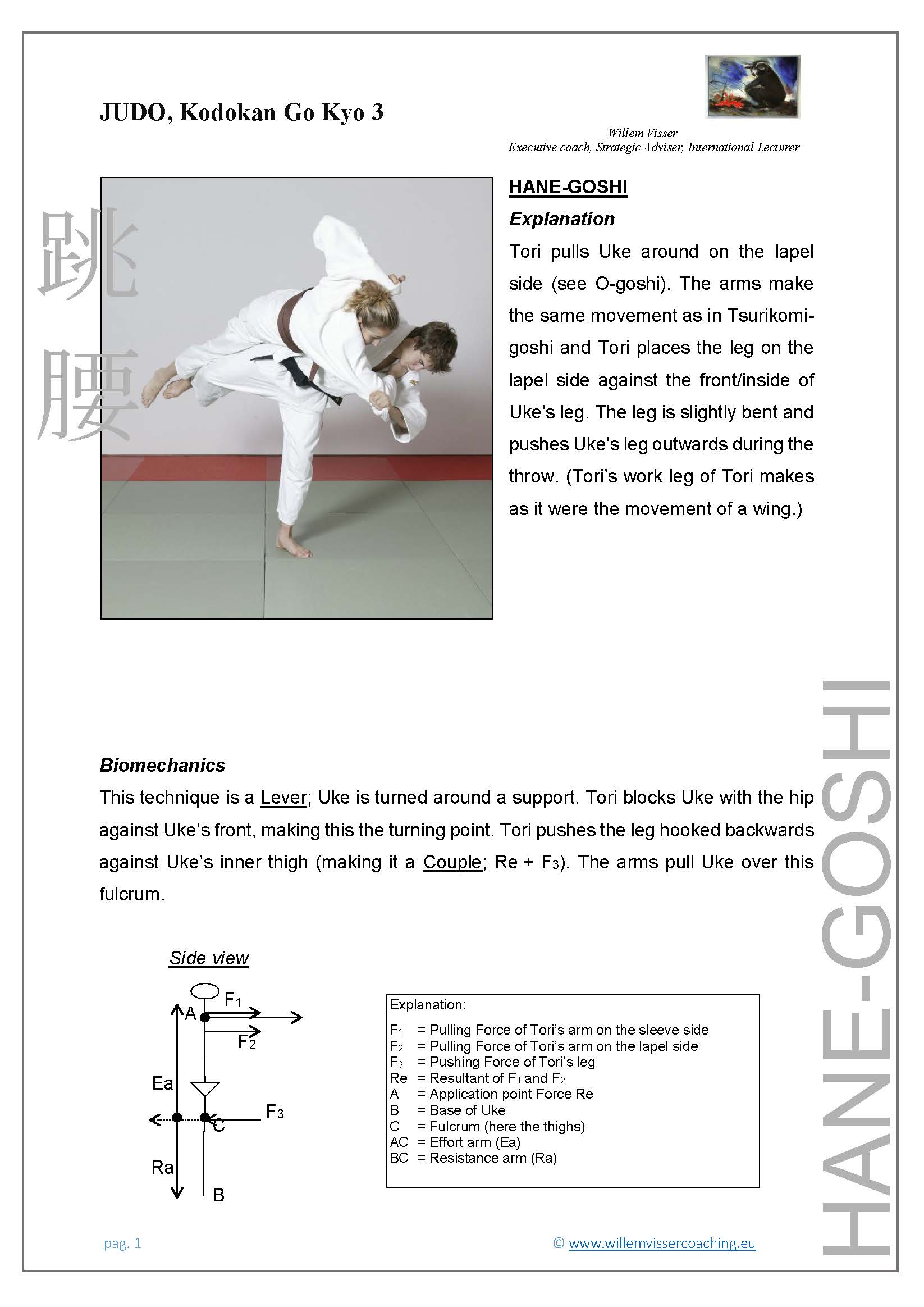 JUDO, Kodokan Go Kyo: HANE GOSHI & HARAI-TSURIKOMI-ASHI - Judo Management